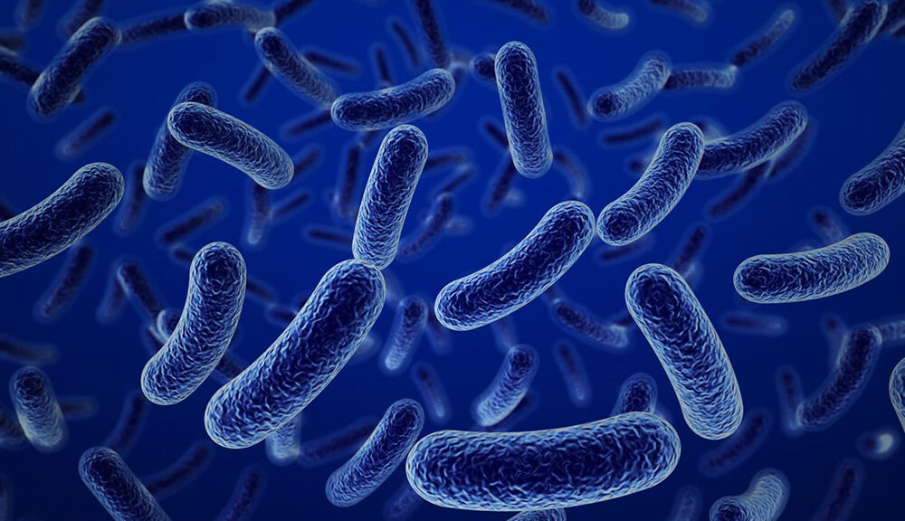 El increíble mecanismo de supervivencia de las bacterias resistentes a ...