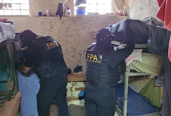 Cayó una banda que utilizaba presas de pollo para introducir cocaína en ...